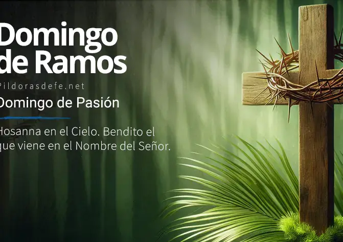 Domingo de Ramos de la Pasión del Señor - Significado y Tradiciones